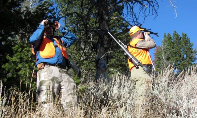 7 Best Hunting Binoculars for 2026 • Advanced Hunter
