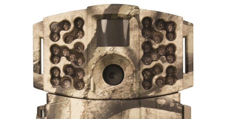 Best Cellular Trail Camera (Buyer's Guide and Reviews) • Advanced Hunter