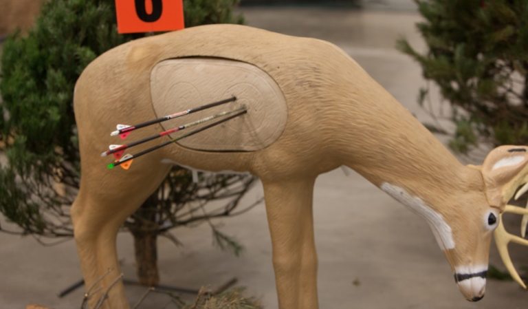 10 Best Archery Targets for Bowhunting in 2025 • Advanced Hunter