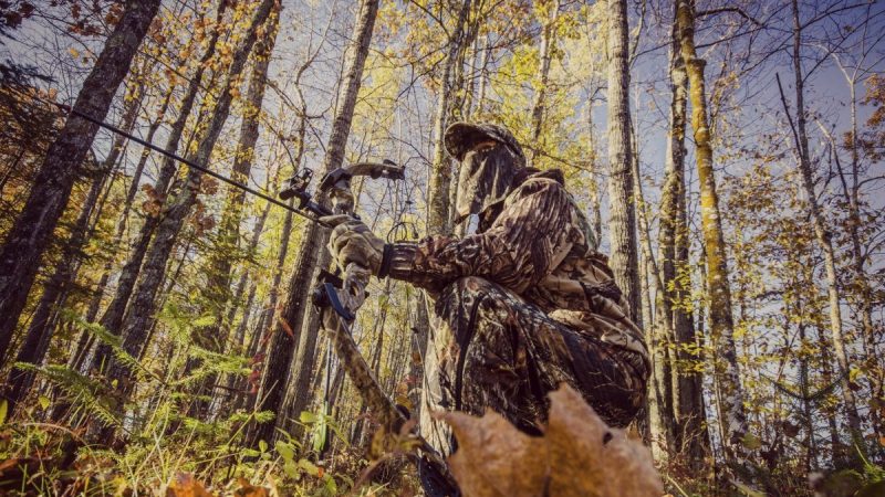 Bowhunting for Beginners (Tips, Gear, and Advice) • Advanced Hunter
