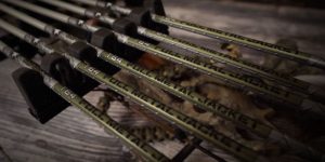 10 Best Carbon Arrows for Hunting (2025 Reviews) • Advanced Hunter