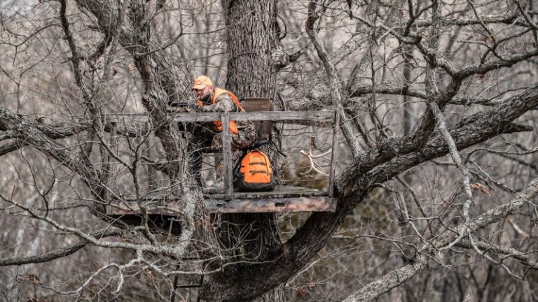 Best Hunting Safety Harness: TOP 7 for 2025 • Advanced Hunter